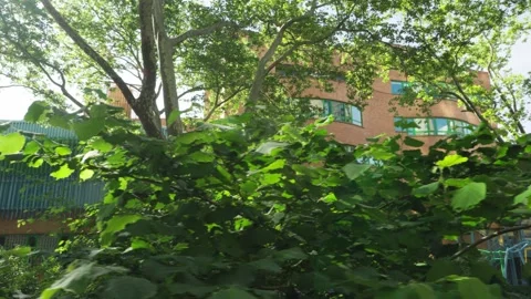 Building Thr Stock Videos – Royalty-Free HD & 4K Videos