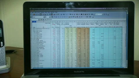 Spreadsheet Screen Stock Footage ~ Royalty Free Stock Videos | Pond5