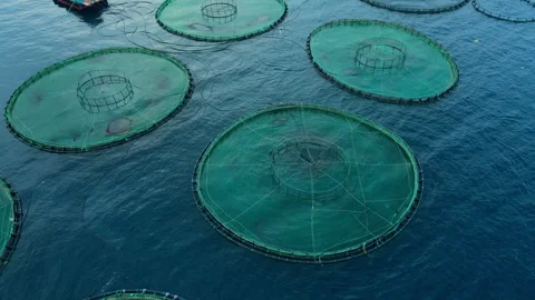 Offshore aquaculture fish farming with c... | Stock Video | Pond5