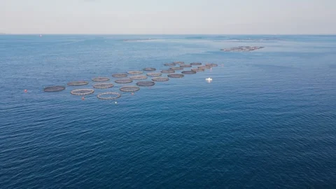 Offshore Aquaculture Fish Farms | Stock Video | Pond5
