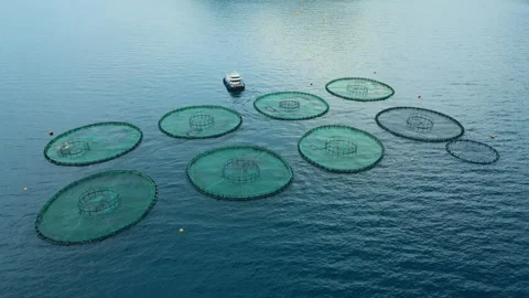 Offshore aquaculture in floating fish fa... | Stock Video | Pond5