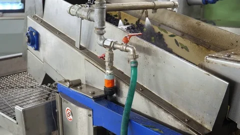 Oil mill - Process of production of extr... | Stock Video | Pond5