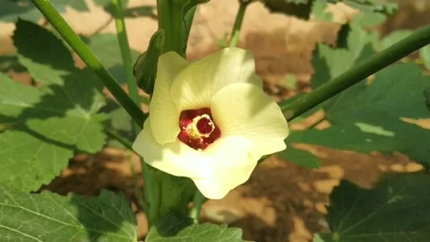 Finger Stock Video Stock Videos – Royalty-Free HD & 4K Videos | Pond5