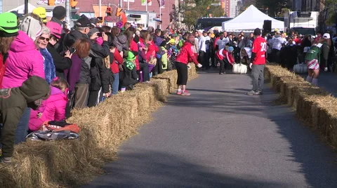 Waterloo Dance Stock Videos – Royalty-Free HD & 4K Videos