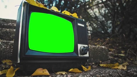 Tv Green Screen 1950S Stock Video Footage | Royalty Free Tv Green ...