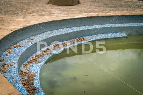 Old abandoned swimming pool, filled with polluted, green rain water ...