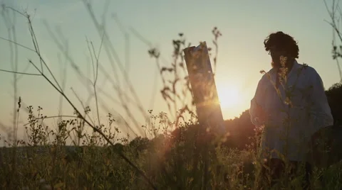 The Sunset Picture Stock Videos – Royalty-Free HD & 4K Videos