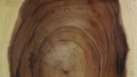 Circle Rings Texture Stock Footage ~ Royalty Free Stock Videos | Pond5