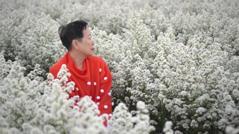 Older Lady Fi Stock Videos – Royalty-Free HD & 4K Videos