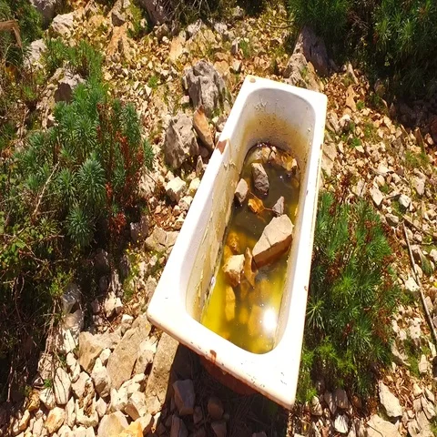 Old People Bathtub Stock Videos – Royalty-Free HD & 4K Videos