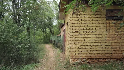 Old brick house in the forest. Abandoned... | Stock Video | Pond5