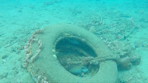 Old car tire deep under the sea overgrow... | Stock Video | Pond5
