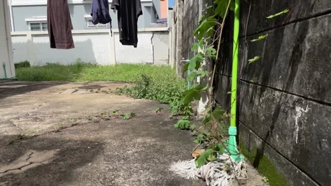 Old cleaning floor mob leaning on the wa... | Stock Video | Pond5