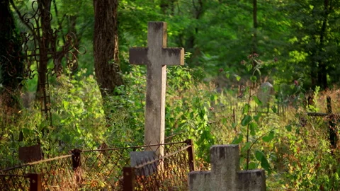 Sunset Signs Stock Videos – Royalty-Free HD & 4K Videos