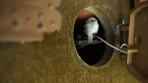 Punching Clock Old Stock Videos – Royalty-Free HD & 4K Videos