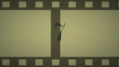 Damaged Film Stock Videos – Royalty-Free HD & 4K Videos | Page 5