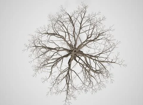 Modelo 3D: Old English Oak #262976081 | Pond5