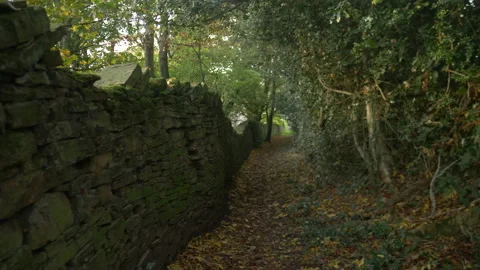Old English Pathway with Stone Wall Tree... | Stock Video | Pond5