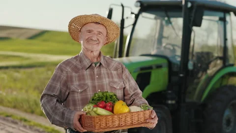 Looking At D Stock Videos – Royalty-Free HD & 4K Videos | Pond5