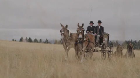 Old Fashioned Funeral Processional | Stock Video | Pond5