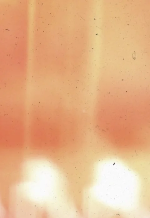 Overlay Film Burn Stock Video Footage | Royalty Free Overlay Film Burn ...