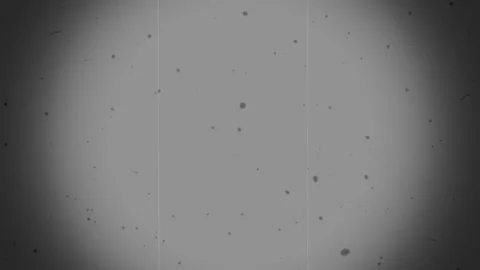 Film Overlay Effect Stock Videos – Royalty-Free HD & 4K Videos | Pond5