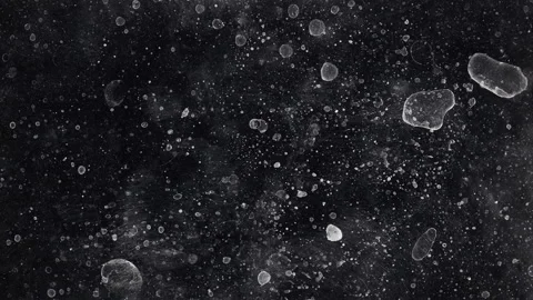 Old Film Grain Texture White Decay On Bl... | Stock Video | Pond5