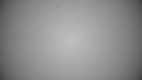 Old Film Noise and Flicker Effect, Vinta... | Stock Video | Pond5