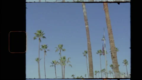 Old Footage of Palm Trees At Beach with ... | Stock Video | Pond5