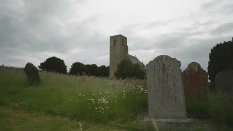 An old gravestone in an overgrown gravey... | Stock Video | Pond5
