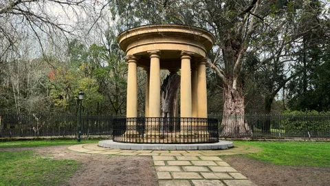 Old Guernica tree. Basque country symbol... | Stock Video | Pond5