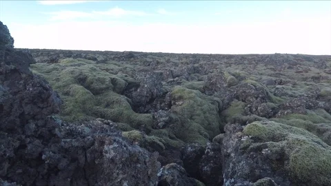 Old lava field with sharp rocks covered ... | Stock Video | Pond5