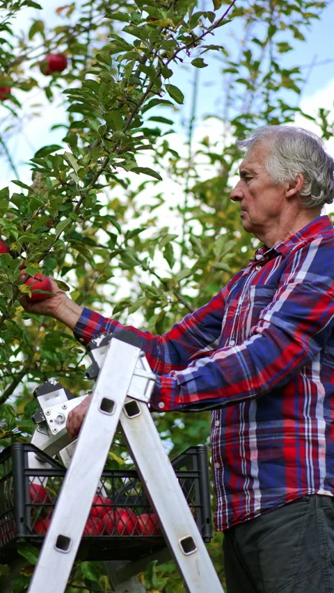 Old Man Step Stock Videos – Royalty-Free HD & 4K Videos | Pond5