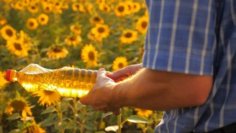 old man close-up sunlight farmer sunflow... | Stock Video | Pond5