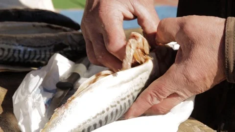 Old Man Fish Stock Videos – Royalty-Free HD & 4K Videos