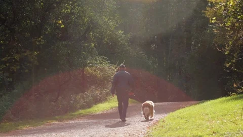 Old Man Walking Dog Stock Footage ~ Royalty Free Stock Videos | Pond5