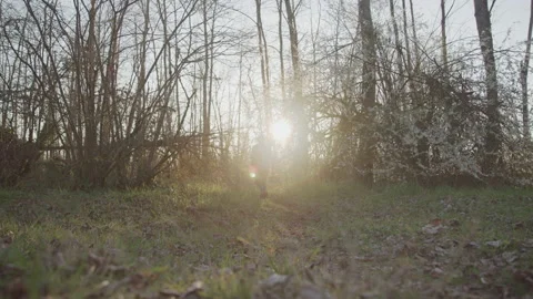 Secret Walking Stock Footage ~ Royalty Free Stock Videos | Pond5