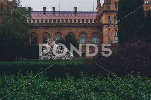 Old medieval university campus architecture building facade and yard ...