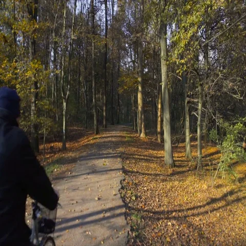 Ikes Older Men Stock Videos – Royalty-Free HD & 4K Videos