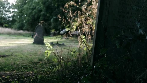 Old neglected headstone in church gravey... | Stock Video | Pond5