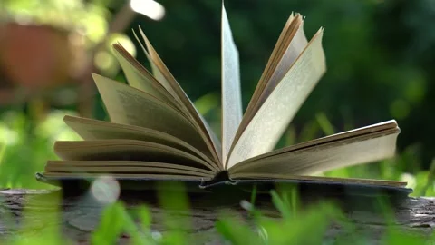 Old paper open book laying outdoors on w... | Stock Video | Pond5