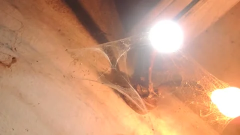 old scary horror spooky light bulb flick... | Stock Video | Pond5