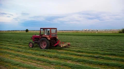 Red Bird School Stock Videos – Royalty-Free HD & 4K Videos