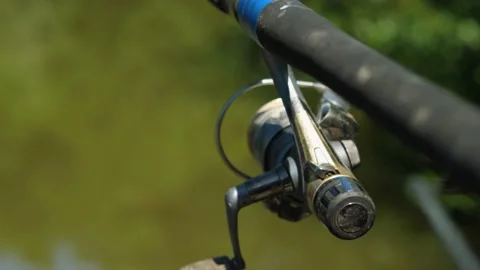 Reeling Pond Stock Videos – Royalty-Free HD & 4K Videos | Pond5