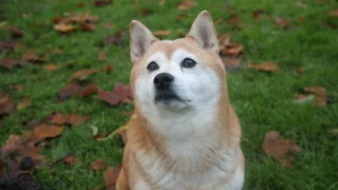 Nintendo General Discussion |ST48 September 2025| Final Famisy | Page ...