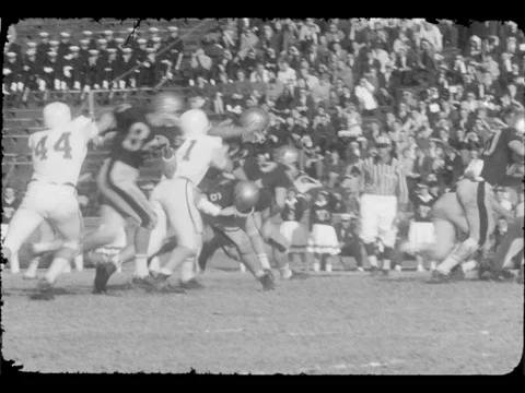 Team Archive Stock Footage ~ Royalty Free Stock Videos | Pond5