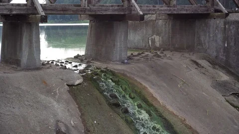 old stream with green water at the old m... | Stock Video | Pond5