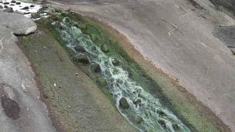 old stream with green water at the old m... | Stock Video | Pond5