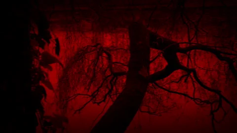Scary Landscape Stock Footage ~ Royalty Free Stock Videos | Pond5