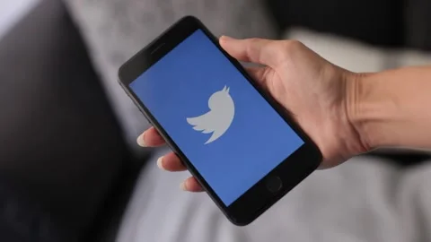 Bird Blue Logo Stock Videos – Royalty-Free HD & 4K Videos | Pond5